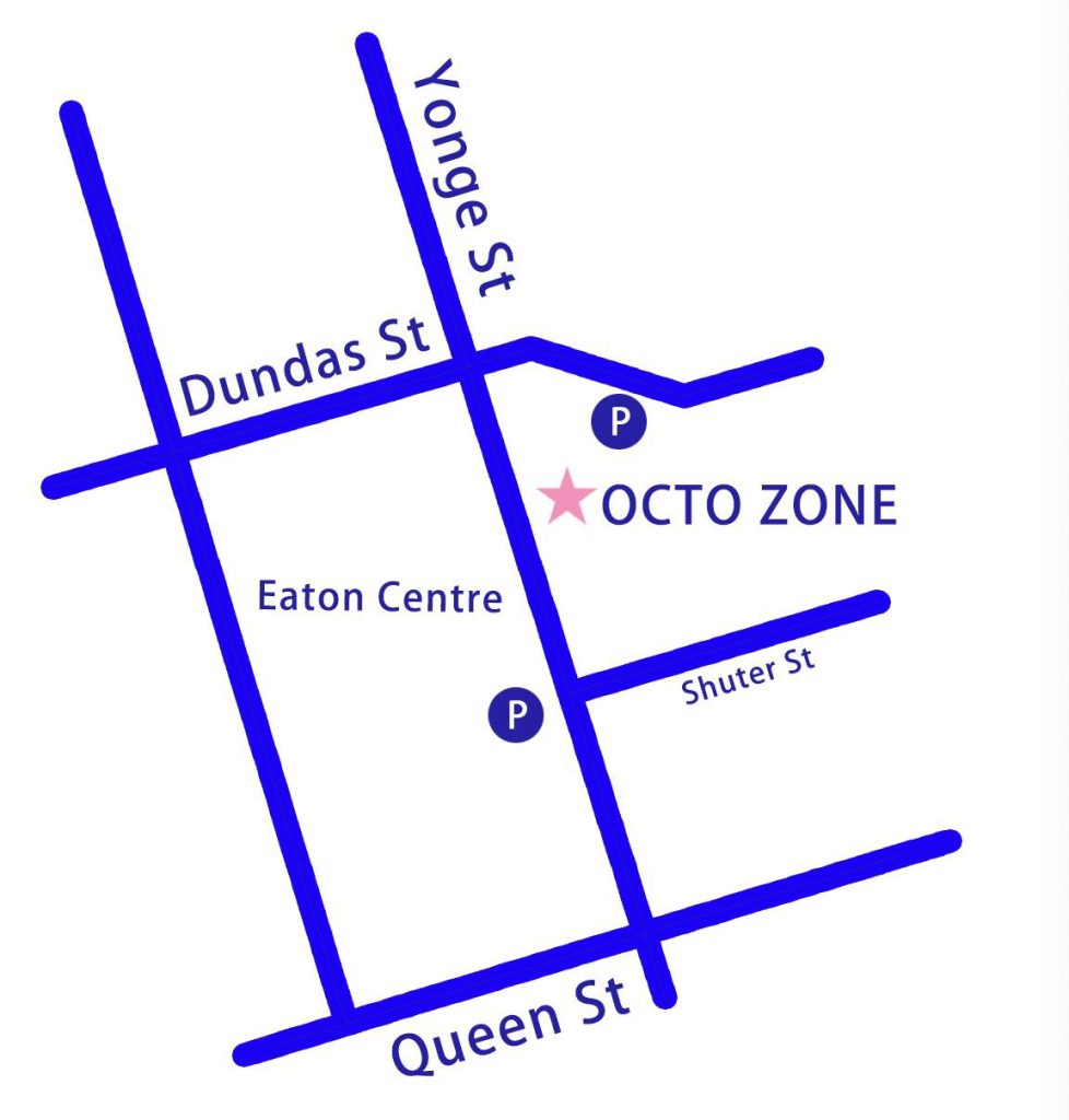 About us – OCTOZONE