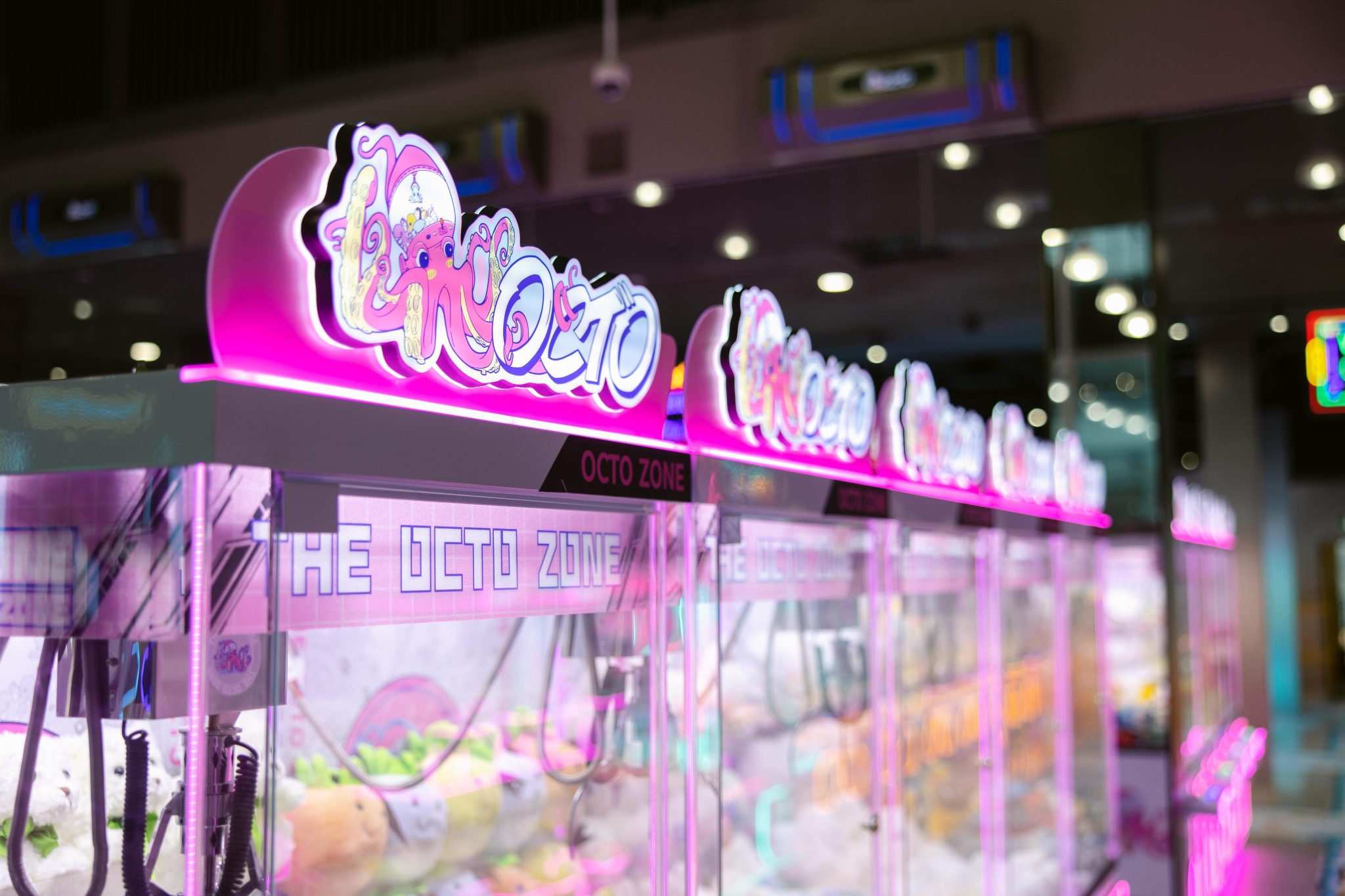 About us – OCTOZONE